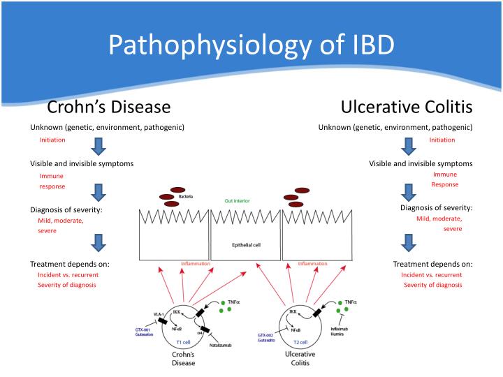 PPT - A Tale of Two (?) IBDs PowerPoint Presentation - ID:6743010