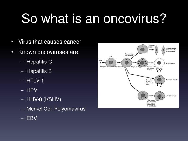 PPT - Oncoviruses PowerPoint Presentation - ID:6743998