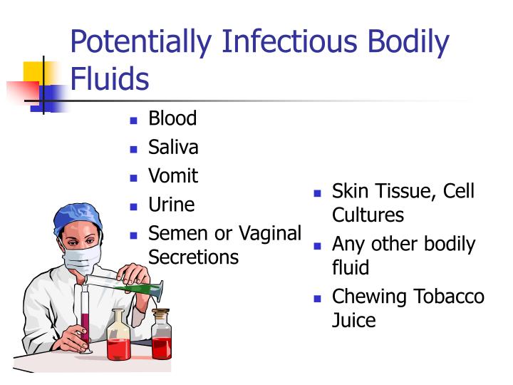 PPT - Bloodborne Pathogen Training PowerPoint Presentation - ID:6744160