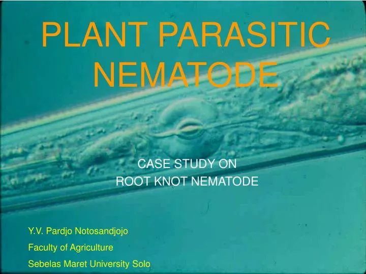 PPT - PLANT PARASITIC NEMATODE PowerPoint Presentation, free download - ID:6744220