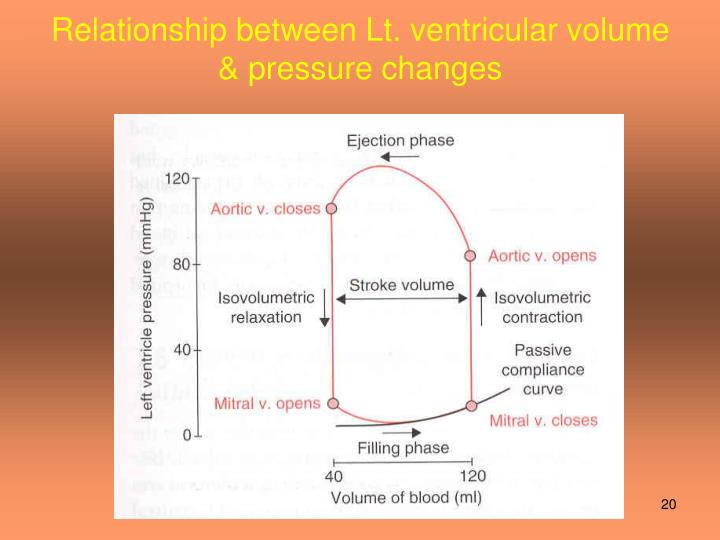PPT - CARDIOVASCULAR SYSTEM CARDIAC CYCLE HEART SOUNDS PowerPoint ...