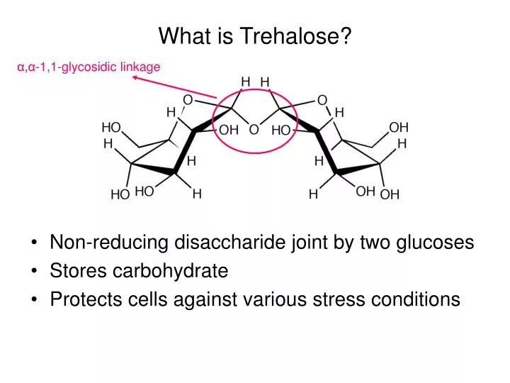 PPT - What is Trehalose? PowerPoint Presentation, free download - ID ...