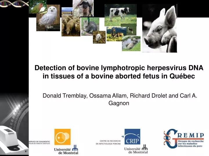 PPT - Project premises PowerPoint Presentation, free download - ID:6746815