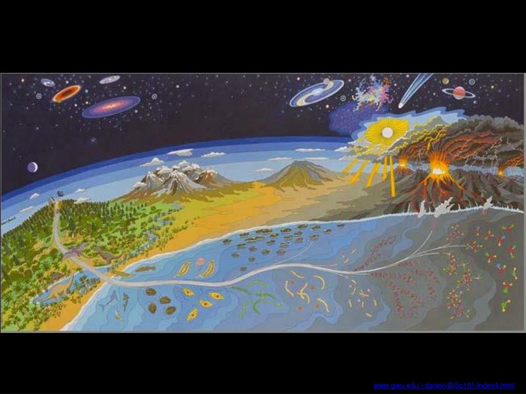 PPT - The History of Life - & Death – on Earth PowerPoint Presentation ...