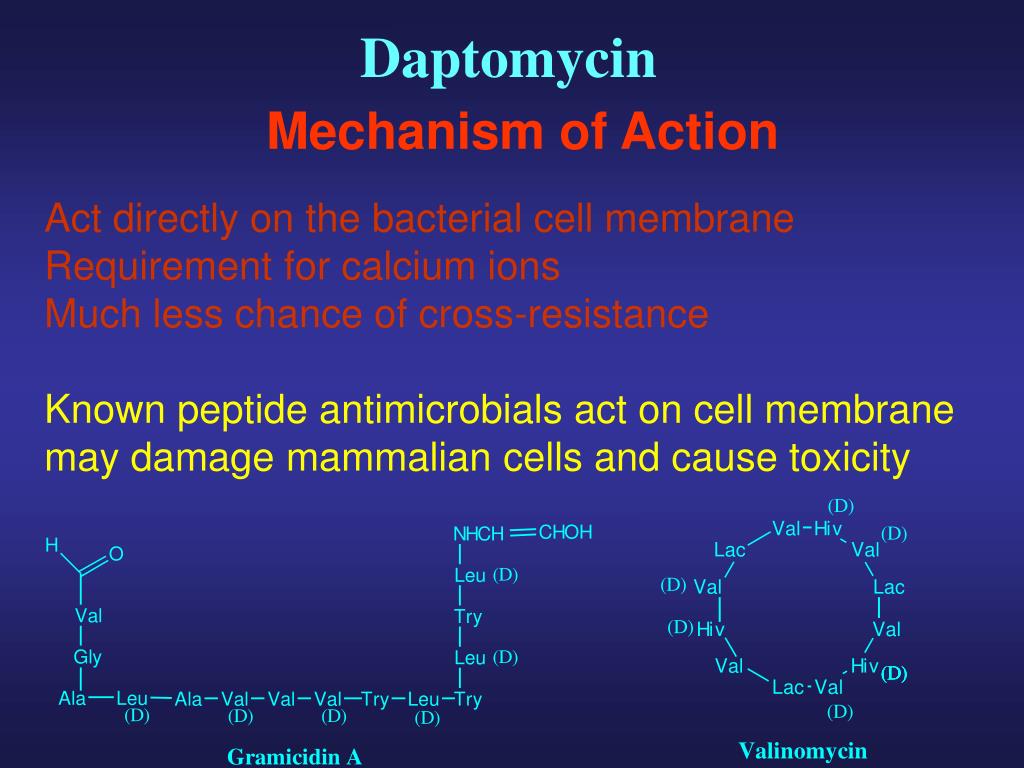 PPT - Medicinal Chemistry Journal Club September 2004 PowerPoint ...