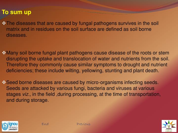 PPT - Soil borne and Seed Borne Diseases PowerPoint Presentation - ID ...