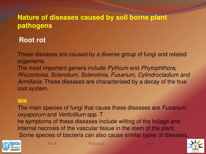 PPT - Soil borne and Seed Borne Diseases PowerPoint Presentation - ID ...