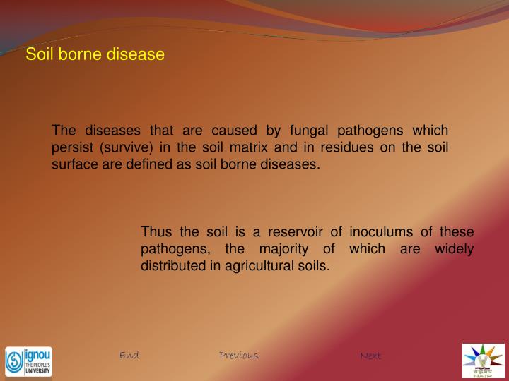 PPT - Soil borne and Seed Borne Diseases PowerPoint Presentation - ID ...