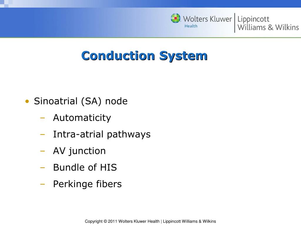 PPT - Chapter 19 Heart and Neck Vessels Assessment PowerPoint ...