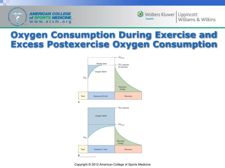 PPT - Chapter 7 Metabolic Responses and Adaptations to Training ...