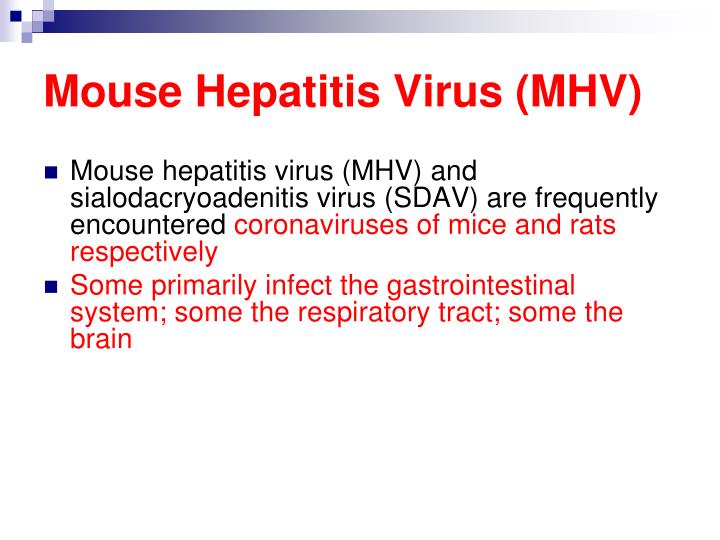 PPT - Mice diseases PowerPoint Presentation - ID:6756501