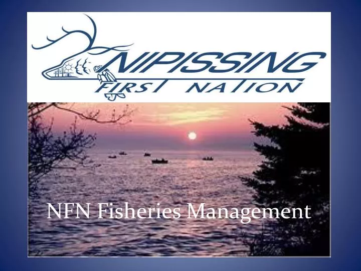PPT - NFN Fisheries Management PowerPoint Presentation, free download ...