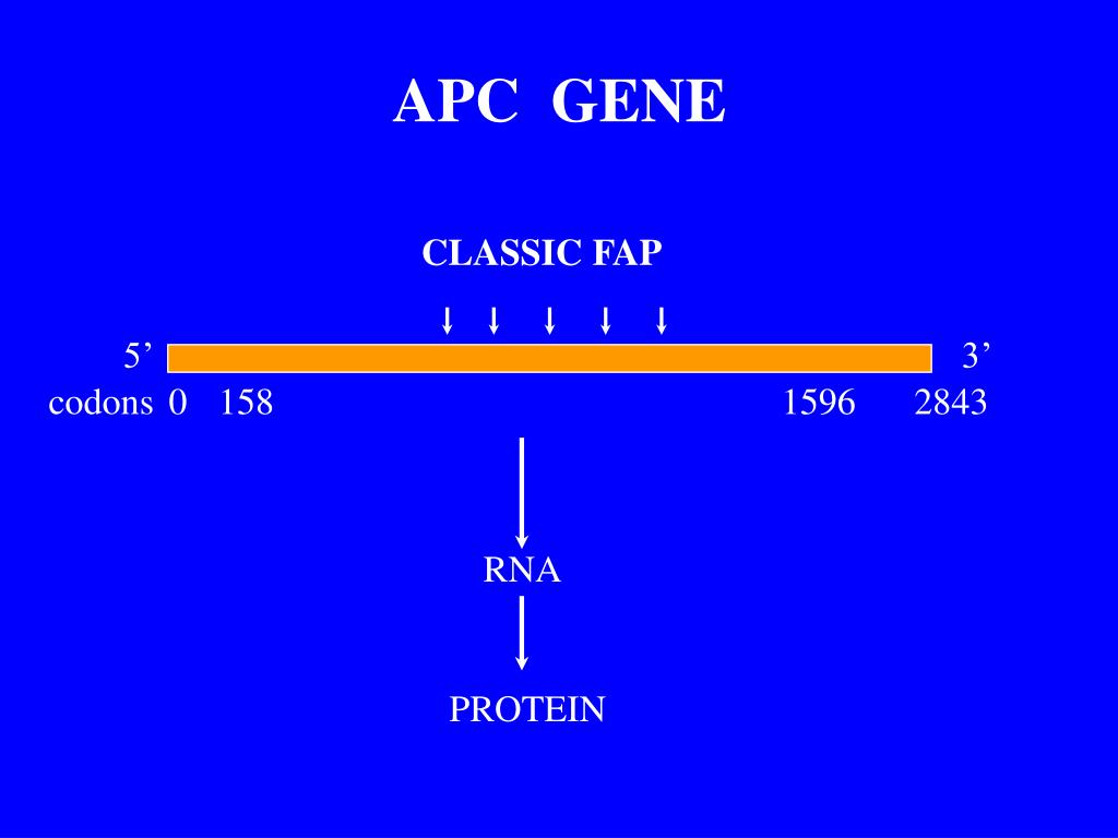 PPT - Familial Colorectal Cancers PowerPoint Presentation, free ...