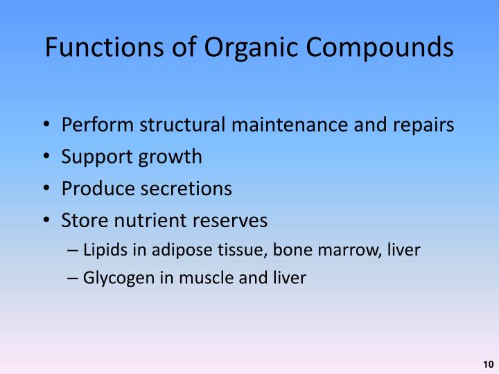 PPT - Chapter 25: Metabolism PowerPoint Presentation - ID:6758014