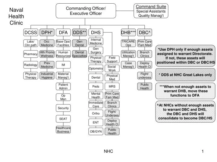 PPT - DHS PowerPoint Presentation, free download - ID:6758595