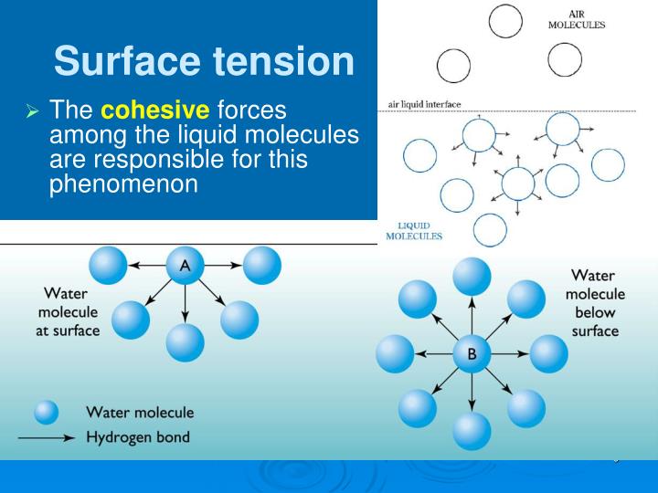 PPT - Measuring the Surface Tension of Water by Light Diffraction on ...