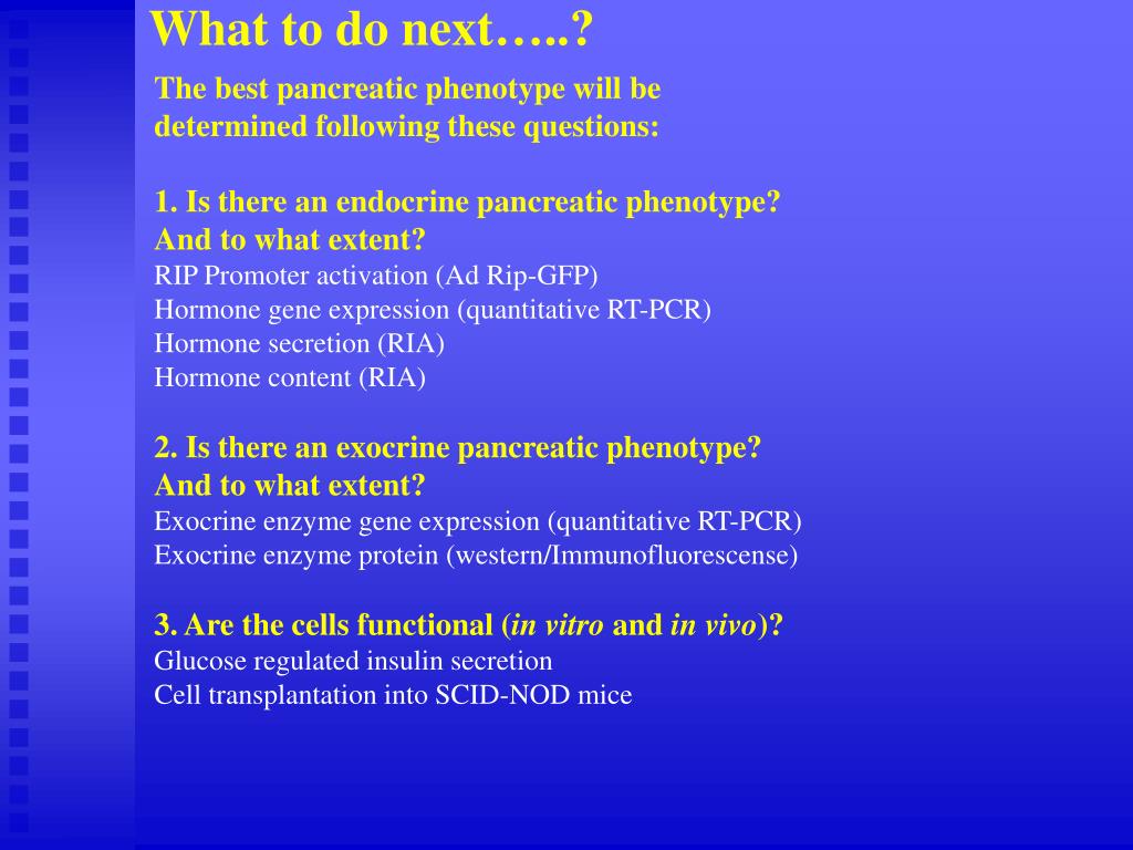 PPT - Liver to pancreas transdifferentiation by pancreatic ...