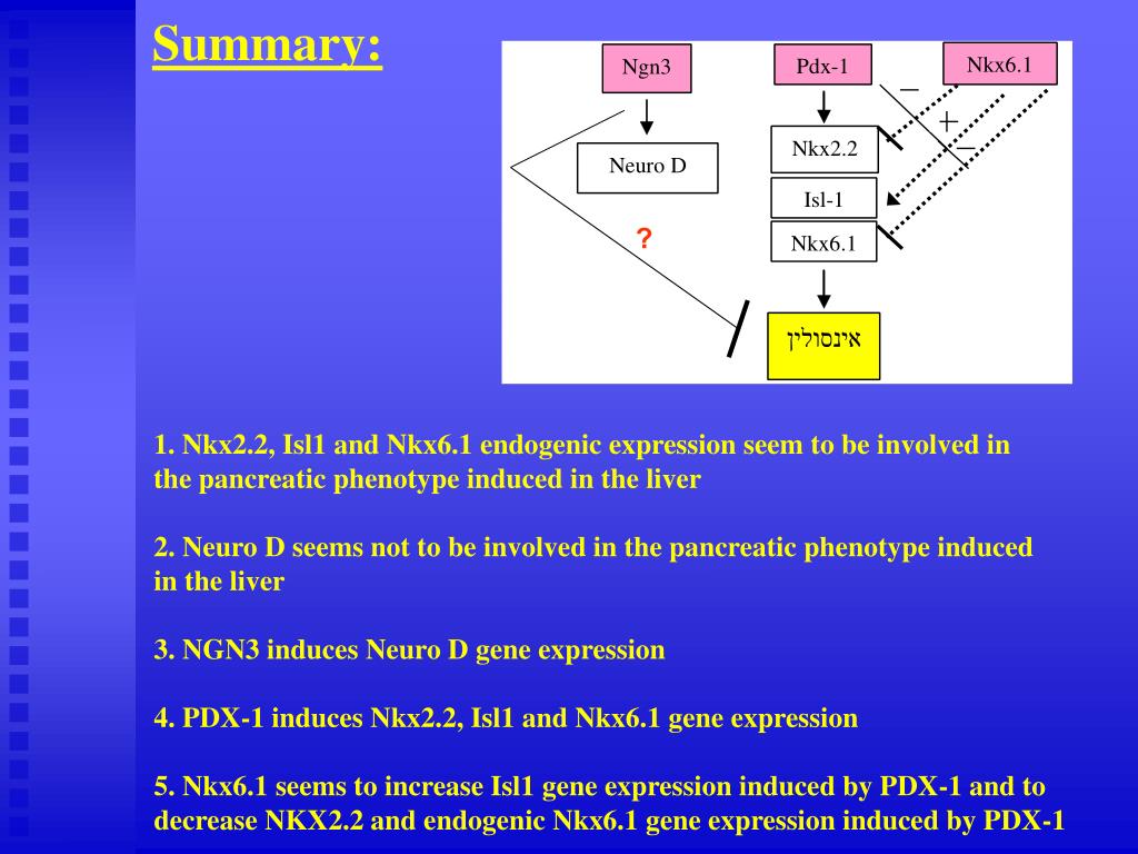 PPT - Liver to pancreas transdifferentiation by pancreatic ...