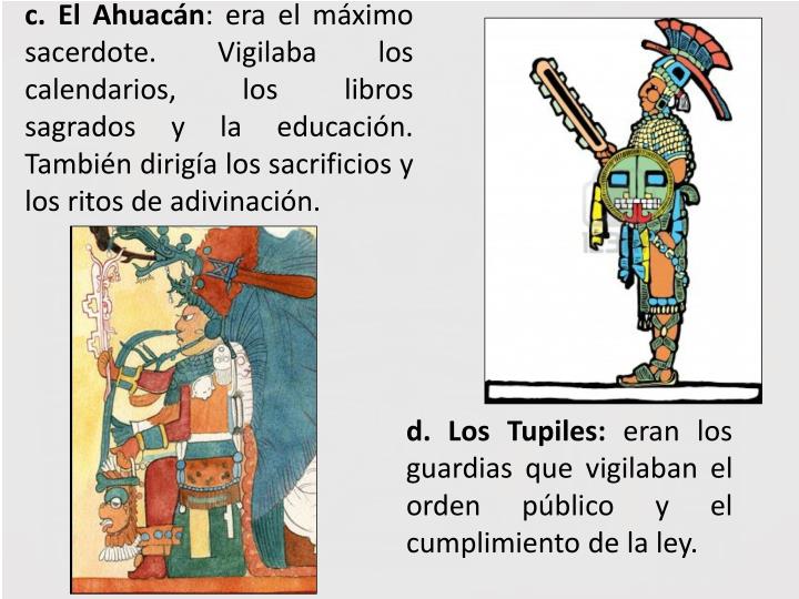 PPT - ORGANIZACIÓN POLÍT I CA DE LOS MAYAS PowerPoint Presentation - ID ...