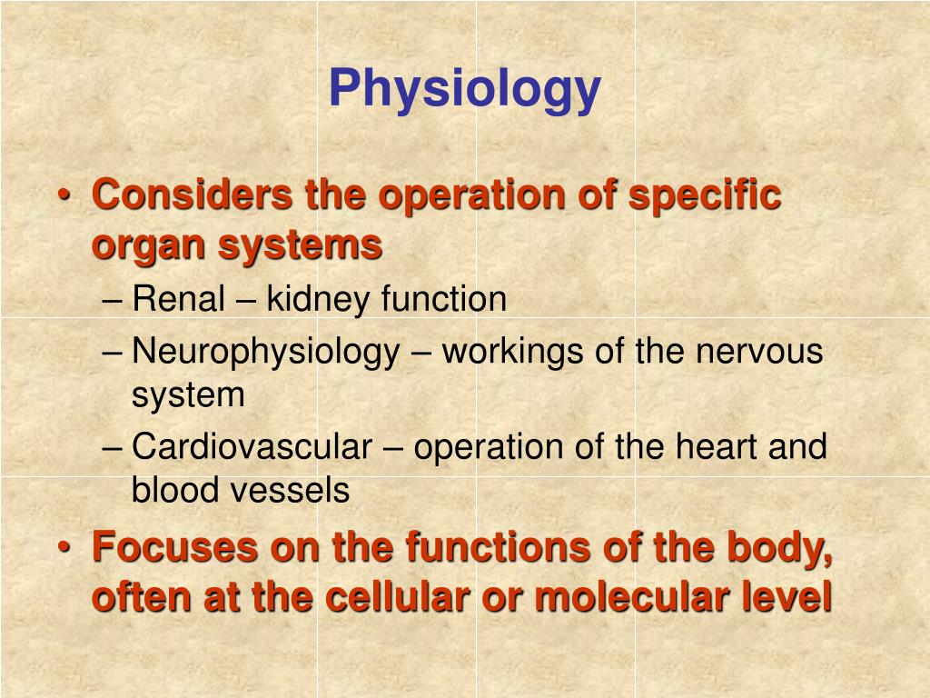 PPT - The Human Body: Anatomical Regions, Directions, and Body Cavities ...