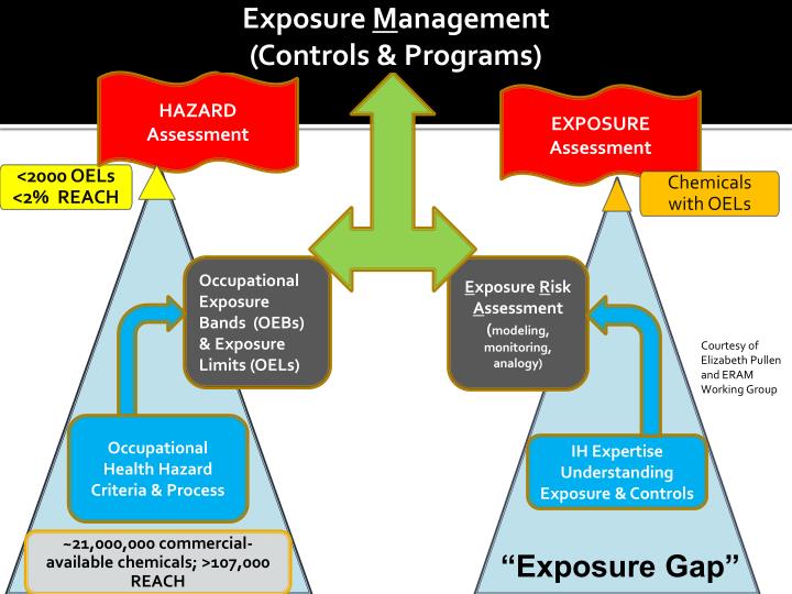 PPT - Occupational Exposure Banding and Exposure Risk Management ...