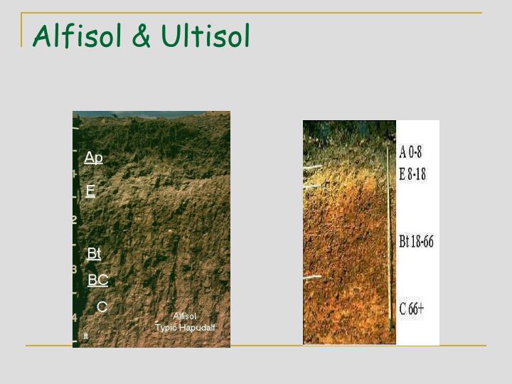 PPT - Lecture 5a Soil Taxonomy PowerPoint Presentation - ID:6762436