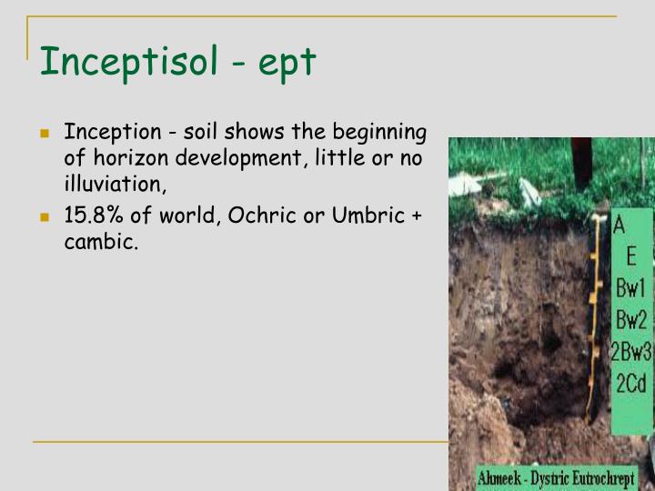 PPT - Lecture 5a Soil Taxonomy PowerPoint Presentation - ID:6762436