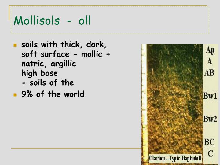 PPT - Lecture 5a Soil Taxonomy PowerPoint Presentation - ID:6762436