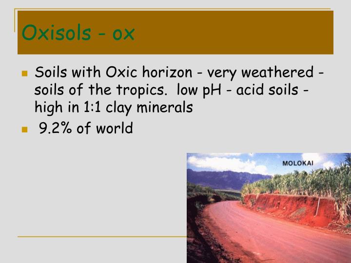 PPT - Lecture 5a Soil Taxonomy PowerPoint Presentation - ID:6762436
