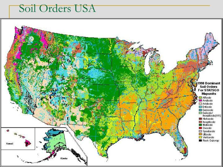 PPT - Lecture 5a Soil Taxonomy PowerPoint Presentation - ID:6762436