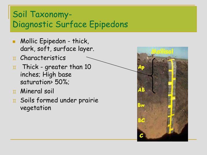 PPT - Lecture 5a Soil Taxonomy PowerPoint Presentation - ID:6762436