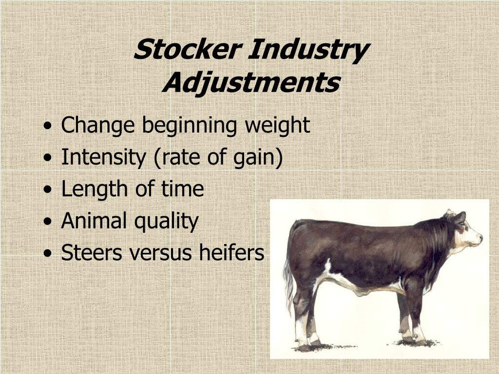 PPT - The Stocker Industry PowerPoint Presentation, free download - ID ...