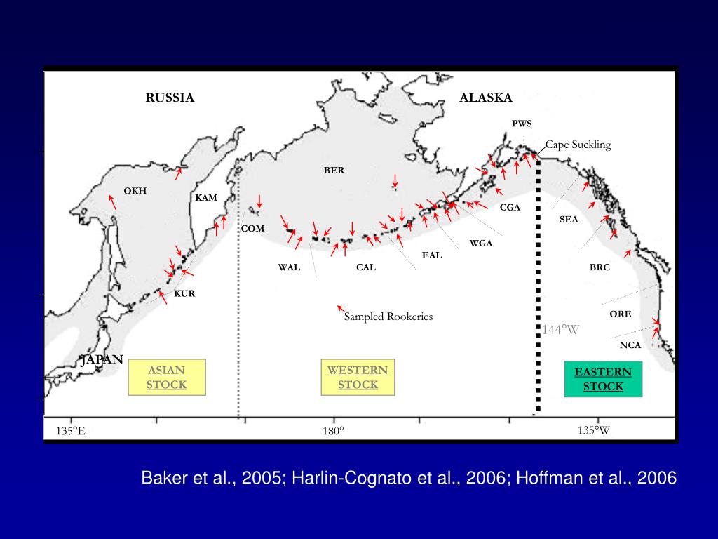 PPT - Greg O’Corry-Crowe Carolina Bonin Tom Gelatt Ken Pitcher Tom ...