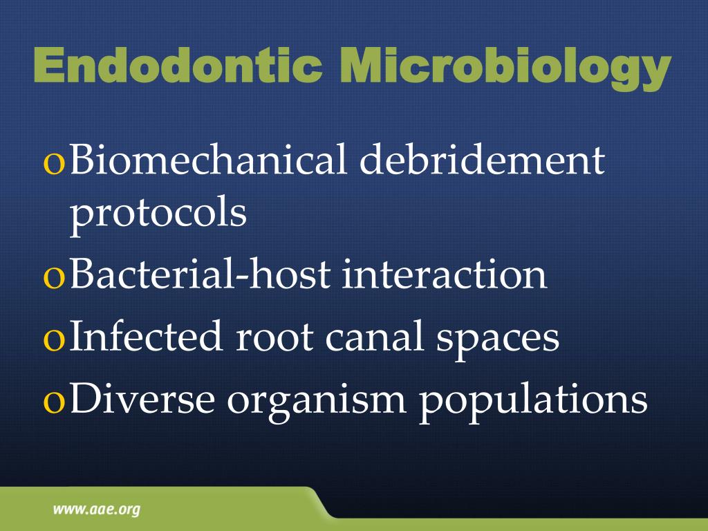 PPT - American Association of Endodontists PowerPoint Presentation ...