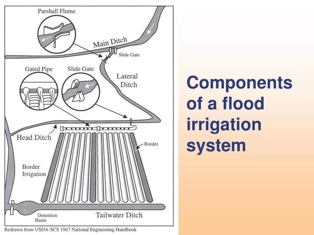 Ppt Got Water Powerpoint Presentation Free Download Id 6763296