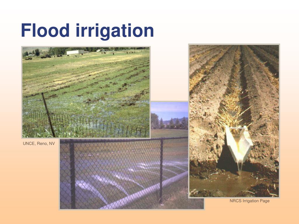 Ppt Got Water Powerpoint Presentation Free Download Id 6763296