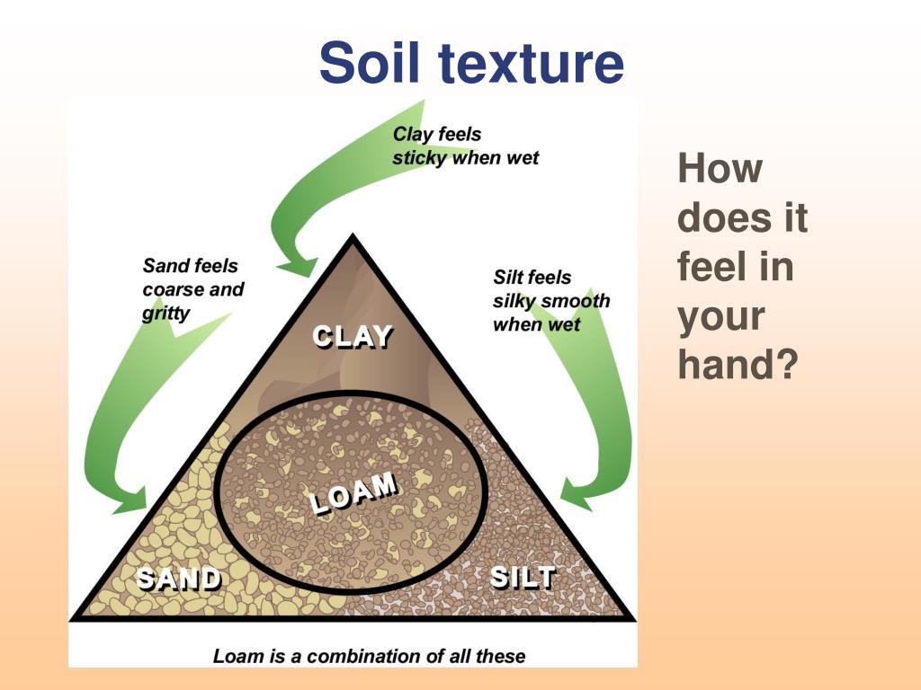 Ppt Got Water Powerpoint Presentation Free Download Id 6763296