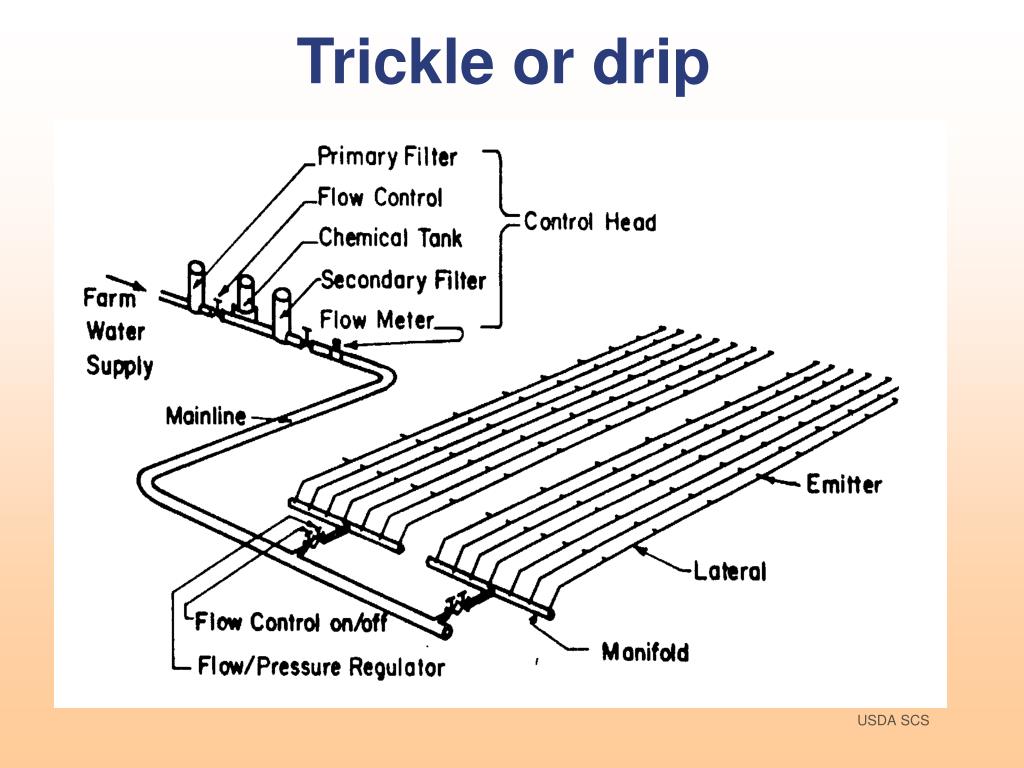 Ppt Got Water Powerpoint Presentation Free Download Id 6763296