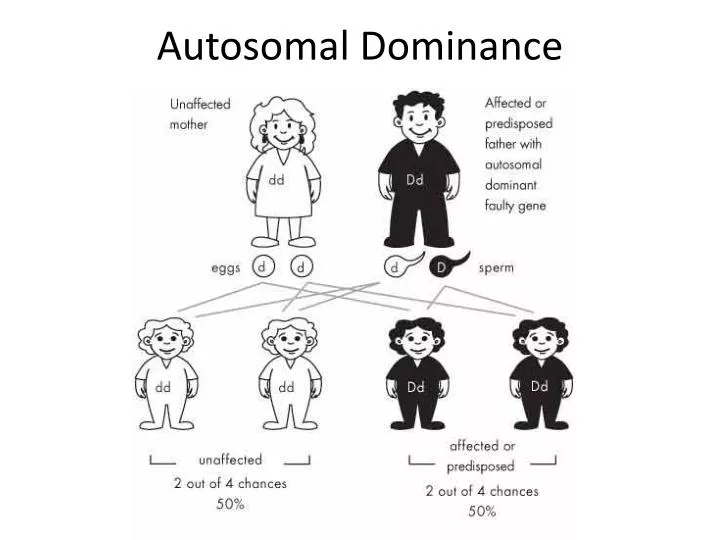 PPT - Autosomal Dominance PowerPoint Presentation, free download - ID ...