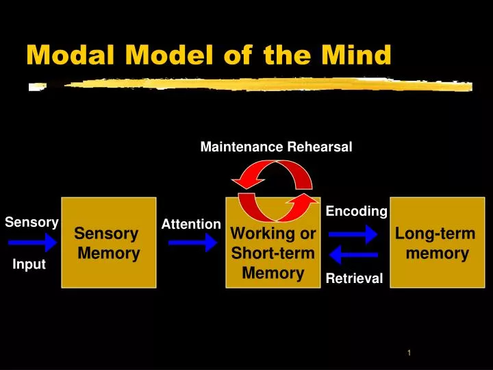 PPT - Modal Model of the Mind PowerPoint Presentation, free download ...