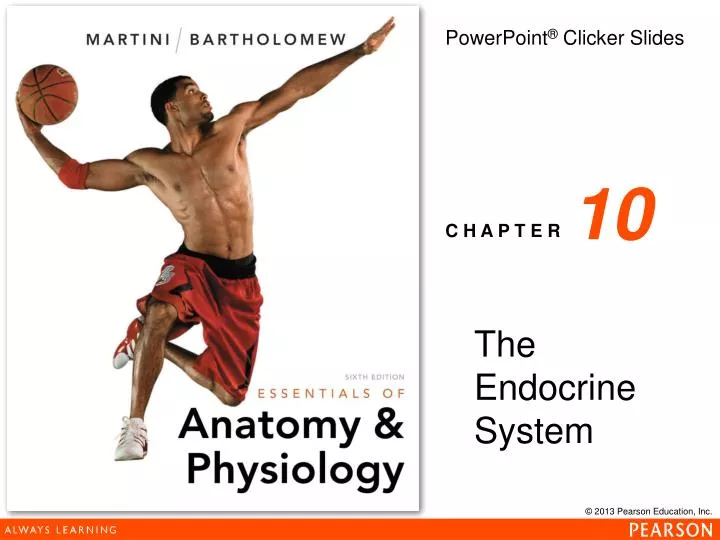 PPT - The Endocrine System PowerPoint Presentation, free download - ID ...