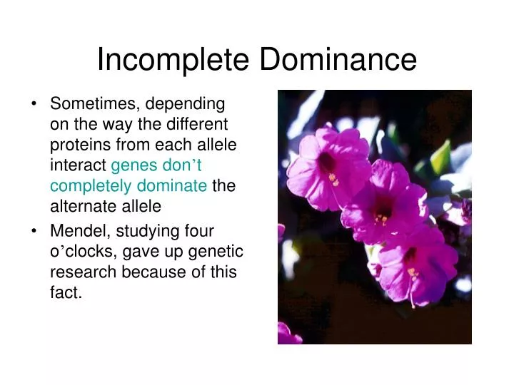 PPT - Incomplete Dominance PowerPoint Presentation, free download - ID ...