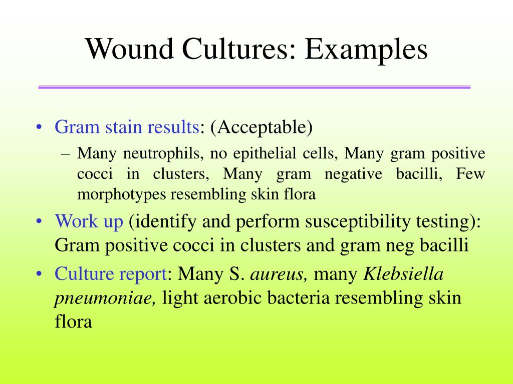 PPT - Dr. Kiarash Ghazvini Department for bacteriology and virology ...