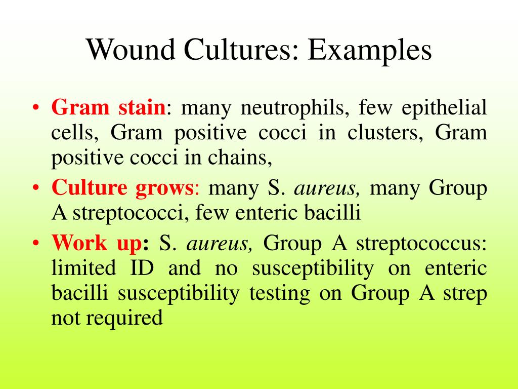 PPT - Dr. Kiarash Ghazvini Department for bacteriology and virology ...