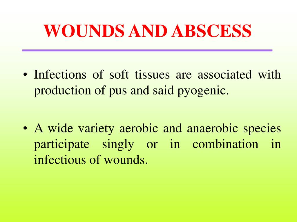 PPT - Dr. Kiarash Ghazvini Department for bacteriology and virology ...