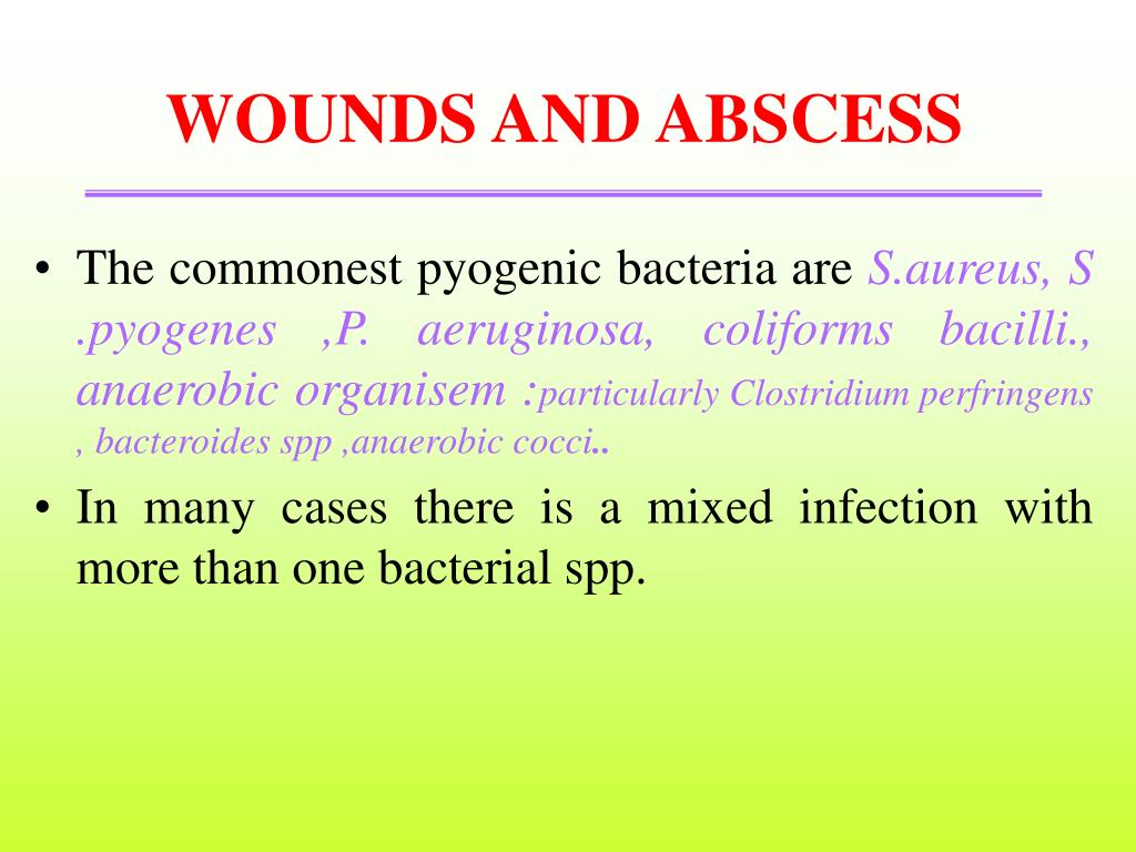 PPT - Dr. Kiarash Ghazvini Department for bacteriology and virology ...