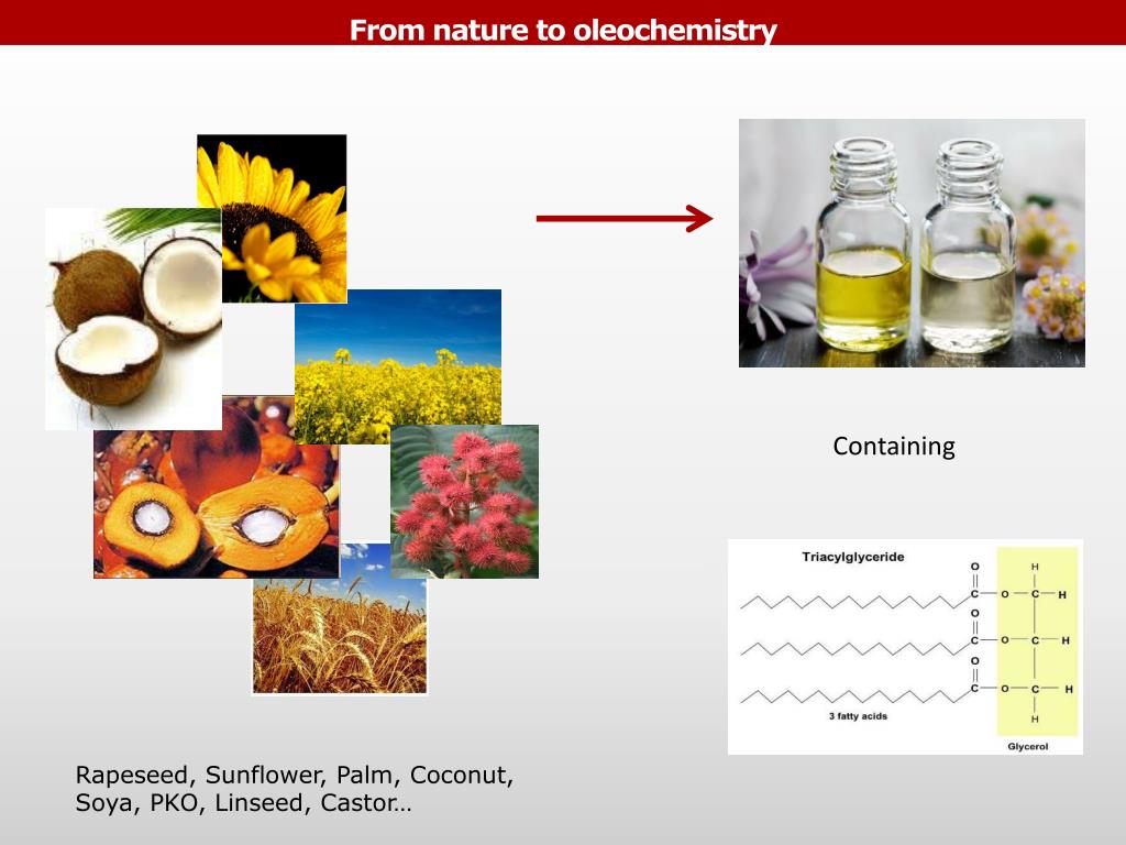 PPT - OLEON A NATURAL CHEMISTRY Personal Care PowerPoint Presentation ...