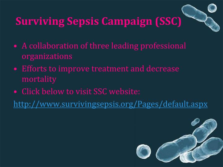 PPT - Adult Sepsis Nursing Competency PowerPoint Presentation - ID:6765552