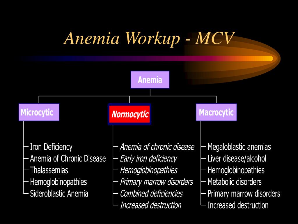 Ppt Update On Approach To Anemia Powerpoint Presentation Free