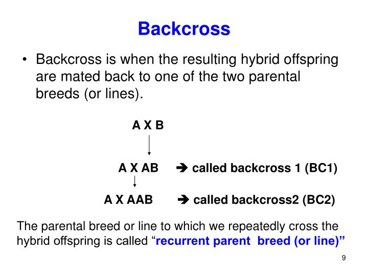 PPT - Course: Advanced Animal Breeding PowerPoint Presentation - ID:6768325